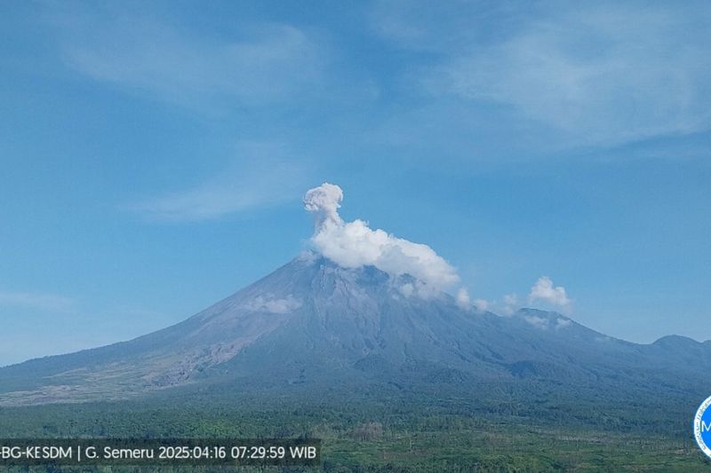 Gunung Semeru Erupsi Disertai Letusan Setinggi 1.000 Meter - Bincang.id